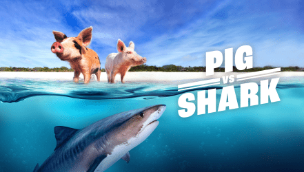 The Ultimate Shark Week Watch: 2022 - The Time Bum