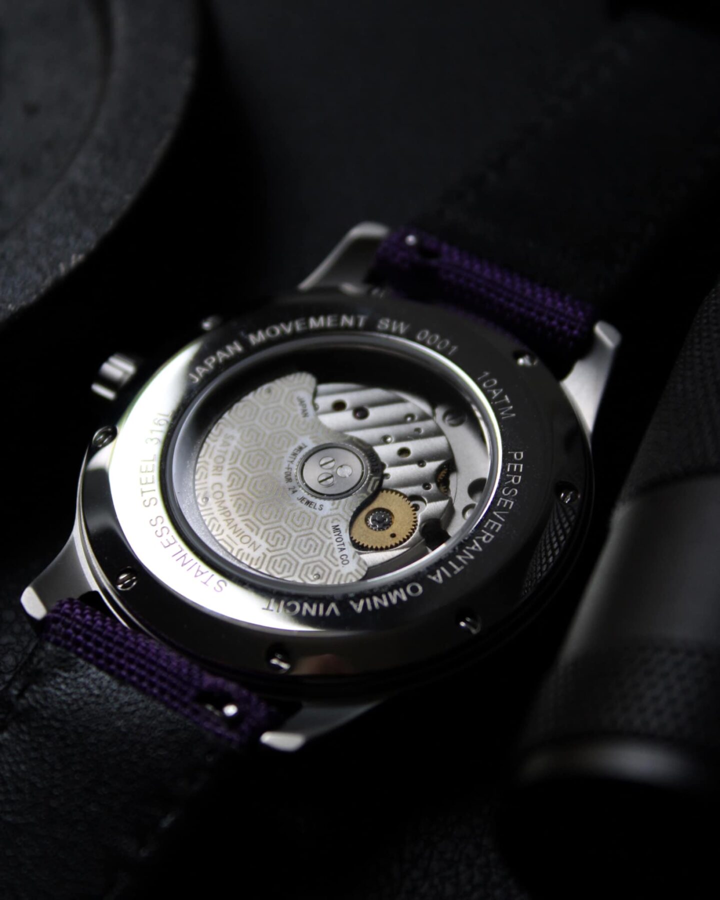 Satori Watches Companion Revisited - The Time Bum